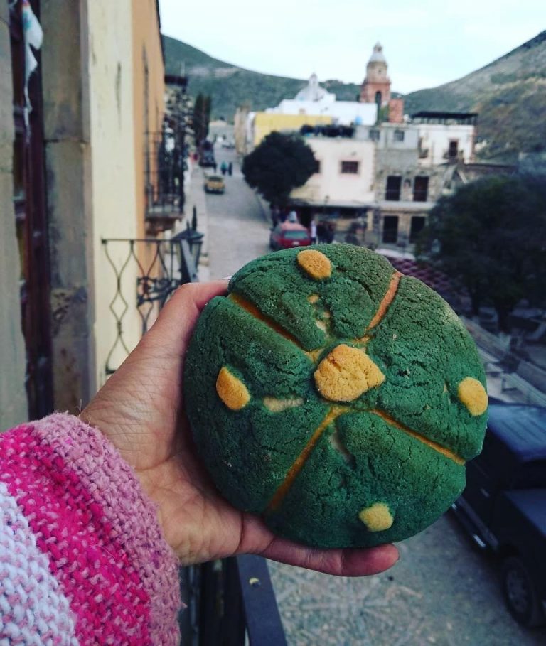 ¡Conoce las Peyoconchas!