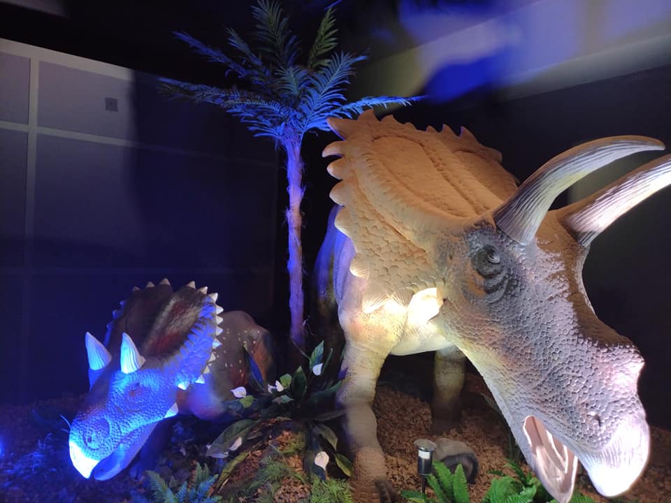 Contabilizan más de 200 mil visitantes en el MUDE – Capital Coahuila