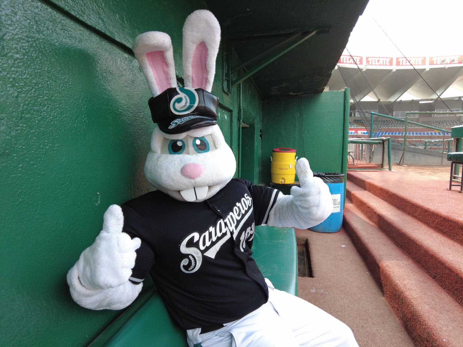 Carlos Omar, 22 años de dar vida a ‘Kike Conejo’ – Capital Coahuila