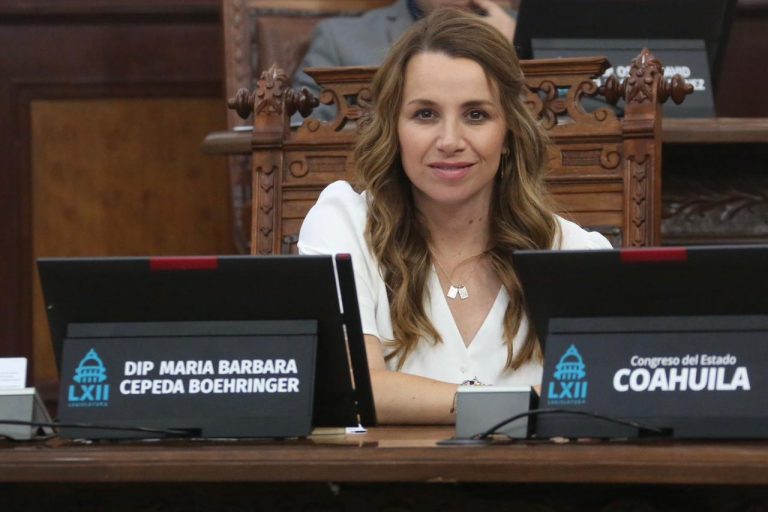 Exige diputada María Bárbara Cepeda aclarar situación del Insabi